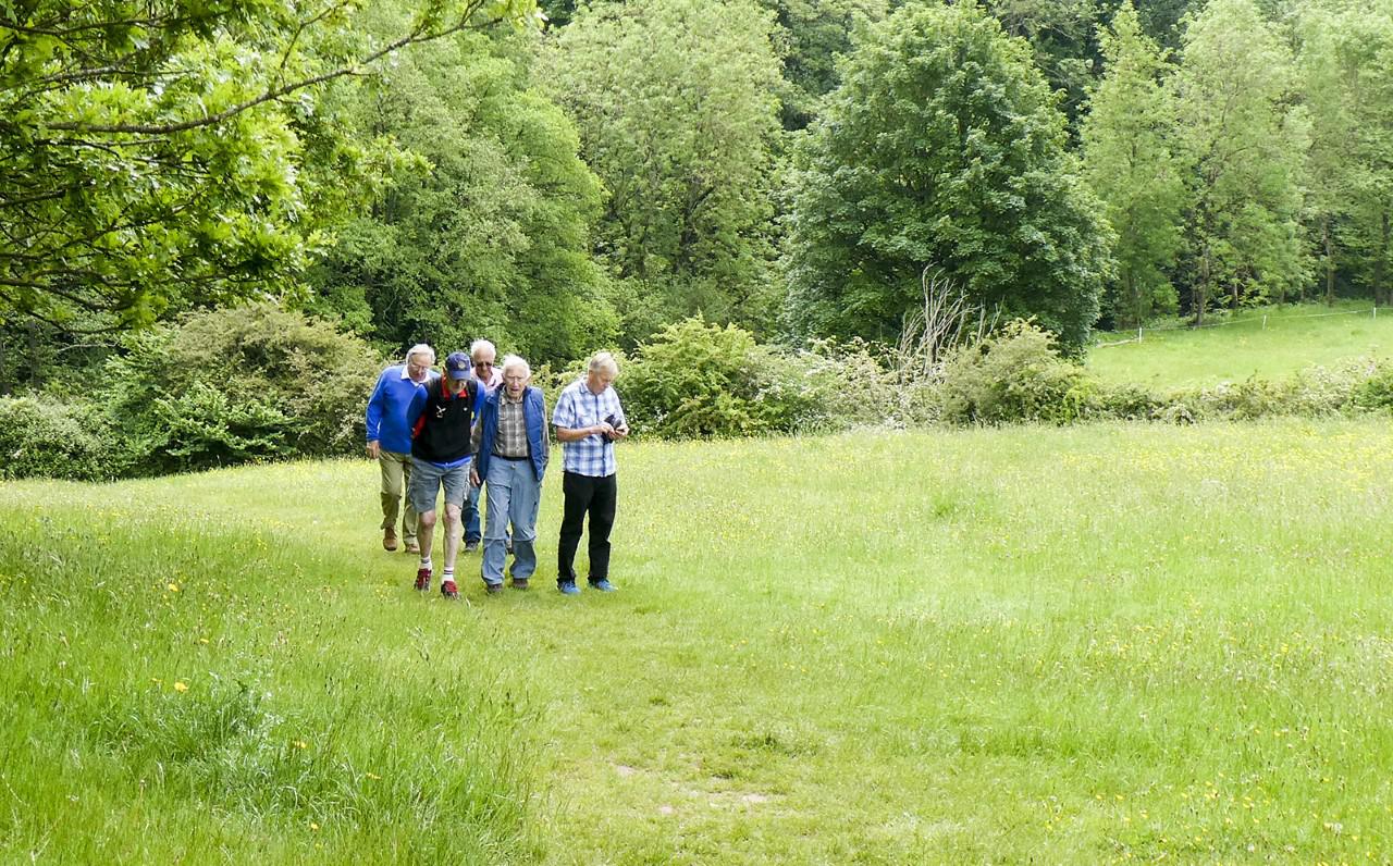 Clifton Rotary Club - News